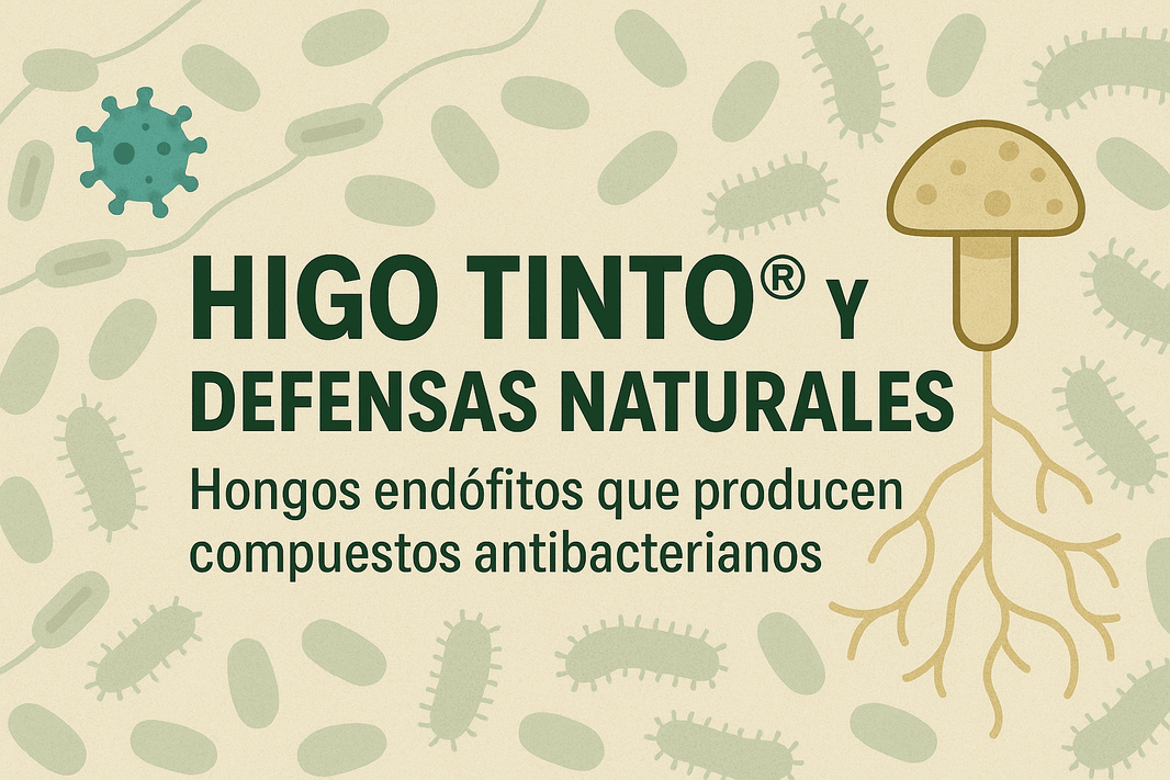 HIGO TINTO®: endófitos que producen antibióticos naturales